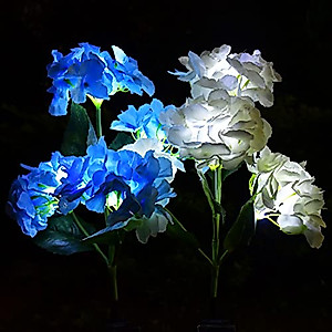 Solar Lights Outdoor Decorative 2 Pack Waterproof Hydrangea Silk Flowers Solar Powered Garden Stake Lights Solar Lights Outdoor Ground Lights for Patio Garden Yard Lawn Pathway (Blue and White)