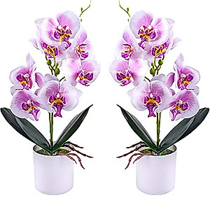 XONOR Artificial Orchid Flowers, 2 Pieces Potted Orchid Flowers Fake Orchids with Plastic Vase for Table Centerpiece Home Decor Office Wedding Party Decoration