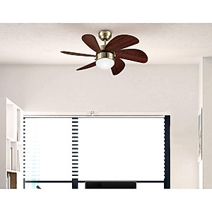 Westinghouse 7234700 Turbo Swirl Indoor Ceiling Fan with Light, 30 Inch, Antique Brass