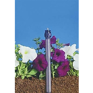 Orbit 54150D Shrub Head Multi-Stream Bubbler Full Pattern