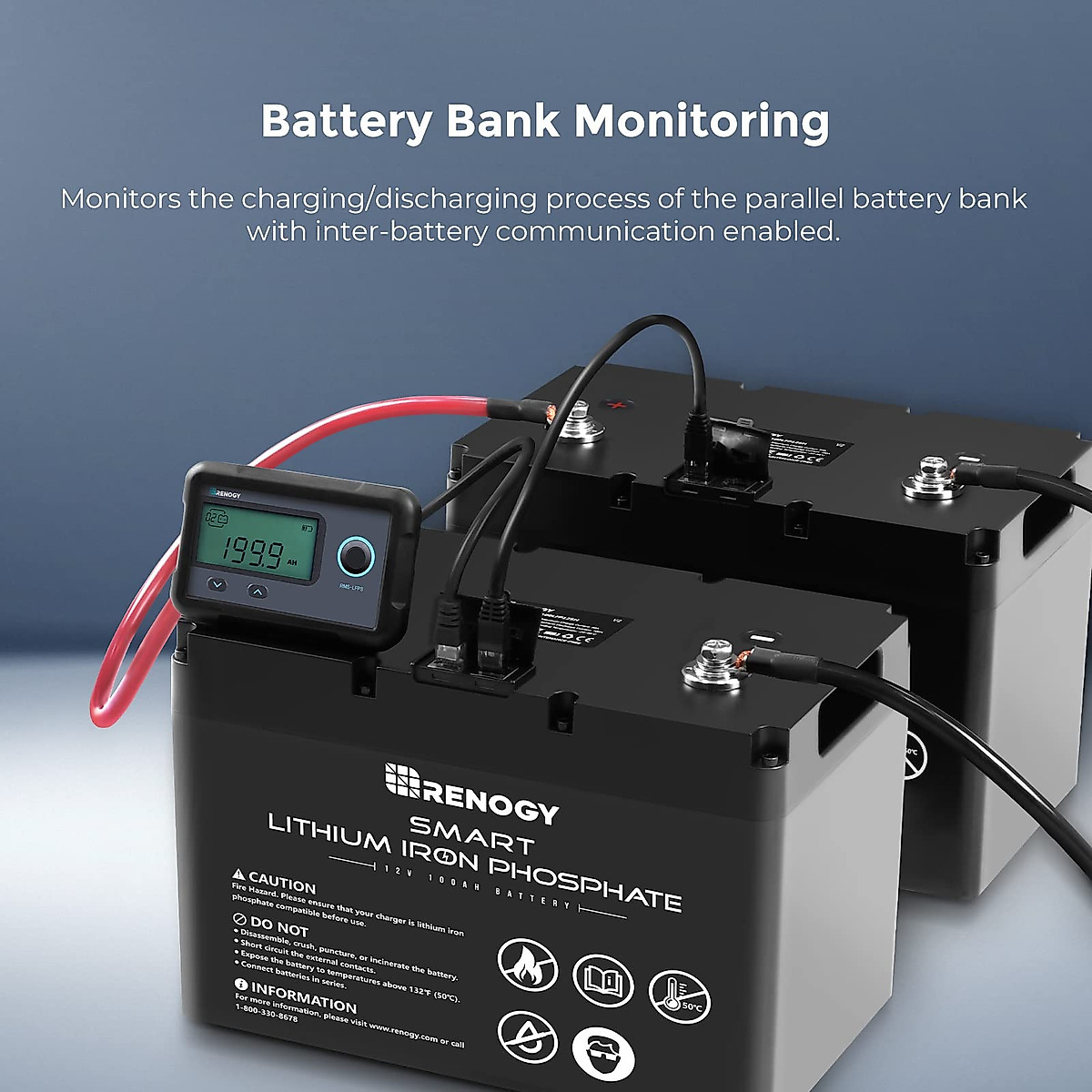 Renogy Monitoring Screen for Smart Lithium Battery Series,Black