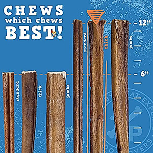 Jack&Pup 12-inch Premium Grade Odor Free Bully Sticks Dog Treats [Thick-Size] 12” Long All Natural Gourmet Dog Treat Chews – Fresh and Savory Beef Flavor – 30% Longer Lasting (3 Ct)