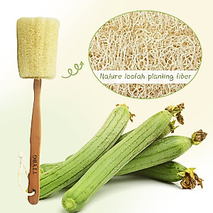Natural Exfoliating Loofah Luffa Loofa Back Sponge Scrubber Brush with Long Wooden Handle Stick Holder Body Shower Bath Spa Pack of 2