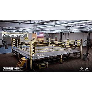 Creed: Rise to Glory (PSVR) (PS4)