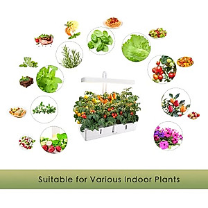 Indoor Herb Garden Gifts New Home Decor, Hydroponics Growing System, Herb Garden, Plant Germination Kit Aeroponic Herb Vegetable Growth Lamp Countertop with LED Grow Light Hydrophonic Planter Grower