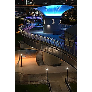 Nikon NIKKOR Z 28-75mm f/2.8 Lens Black