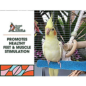 Sweet Feet and Beak Comfort Grip Safety Perch for Bird Cages - Patented Pumice Perch for Birds to Keep Nails and Beaks in Top Condition - Safe Easy to Install Bird Cage Accessories - M 8.5"