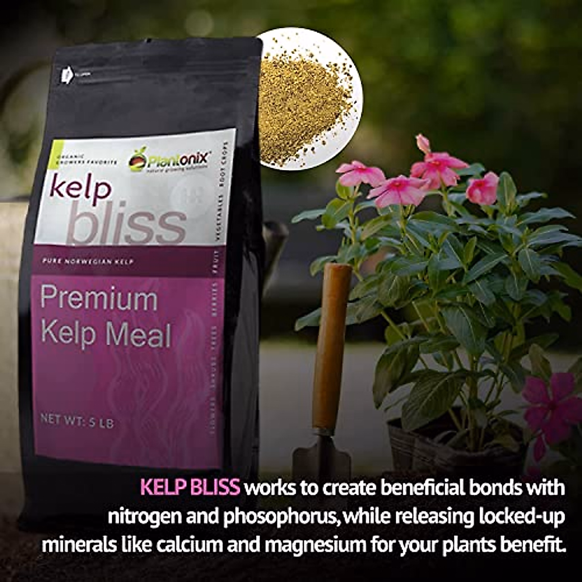 Kelp Bliss - Pure Kelp Meal - Organic Kelp Fertilizer for Growing Healthy Plants, Crops, and Gardens! Increases Fruit and Vegetable Yield! (1 lb)