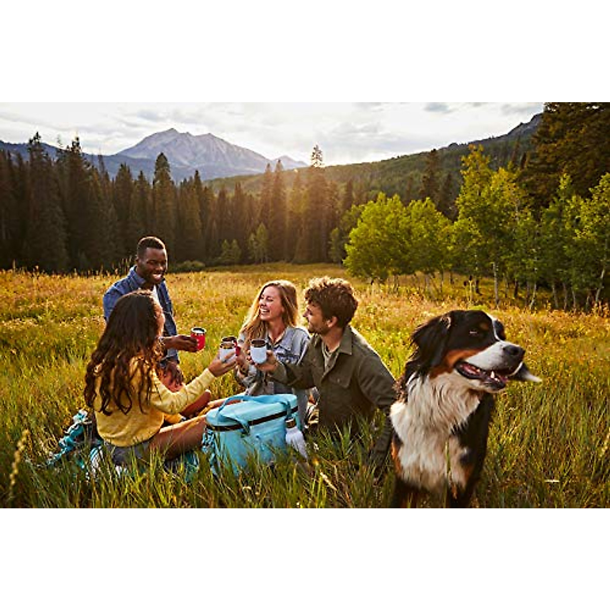 Hydro Flask 10 oz. Wine Tumbler - Vacuum Insulated & Reusable Travel Wine Glass