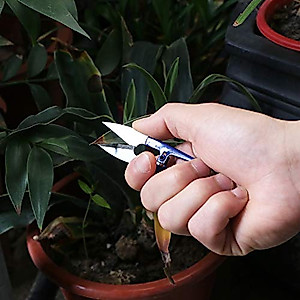 Sanlykate Bonsai Tool Kit 8pc, Basic Trimmer Set Include Pruner, Fold Scissors, Tweezer, Spades, Rake