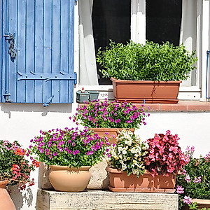 URSTOUD 6PCS Artificial Eucalyptus Flowers, Fake Artificial Greenery UV Resistant No Fade Faux Plastic Plants for Wedding Bridle Bouquet Indoor Outdoor Home Garden Kitchen Office Table Vase(Fuchsia)