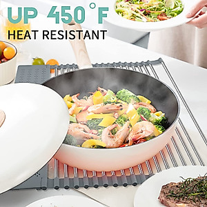 Techsea roll-up-Dish Drying Rack,Multipurpose Heat Resistant Over-The-Sink Dish Drying Rack, Stainless Steel Kitchen Sink Drying Rack (17.5" x 15.2")