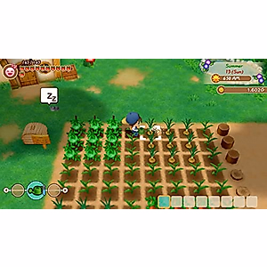 Story of Seasons: Friends Of Mineral Town (PS4)