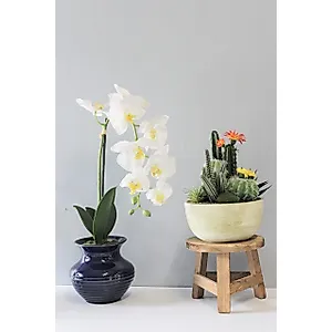 Park Hill 5.5" x 7" Wooden Mini Stool Display Stand