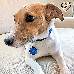 LYP Soundless Pet Tag - Deep Engraved Silicone – Double Sided and Engraving Will Last - Many Design Choices of Pet ID Tags, Dog Tags, Cat Tags (Blue, Circle)