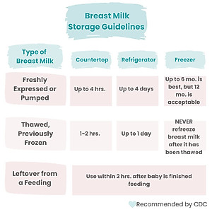 Zomee Breastmilk Baby Bottle Cooler Travel Bag - Insulated to Keep Milk Cold - Includes 2 Ice Packs and 4 Bottles - Perfect for Nursing Moms