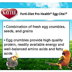 Kaytee Forti-Diet Egg-Cite Parakeet Pet Bird Food, 5 Pound