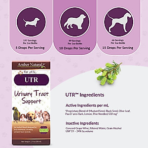 Amber NaturalZ UTR Urinary Tract Herbal Supplement for Dogs, Cats, Birds, Guinea Pigs, and Rabbits | Pet Herbal Supplement for Bladder Support | 1 Fluid Ounce Glass Bottle | Manufactured in The USA