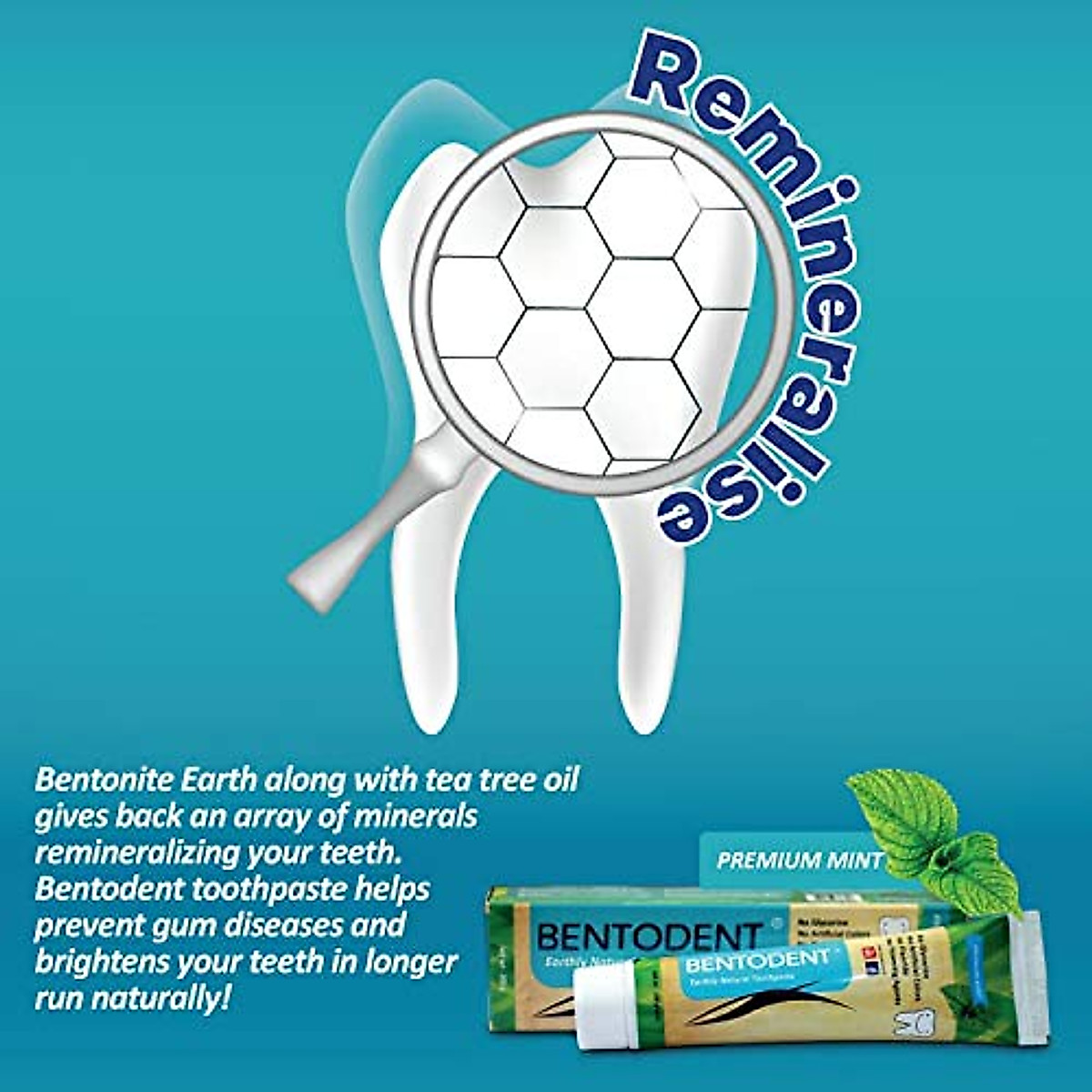 Bentodent Natural Toothpaste for Family Including Kids (Premium Mint)