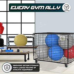 VITALOUS Ball Cart – Rolling Storage, Lockable Lid, Ball Cage for Garage or Gym, Sports Equipment Organizer, Multi Ball Storage, Metallic, Indoor and Outdoor