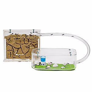 AntHouse - Natural Sand Ant Hill- Basic Kit | Sandwich (4.72 x 3.94 x 0.39 in) + Forage Box (7.09x 3.94 x 1.97 in) | Ant Farm