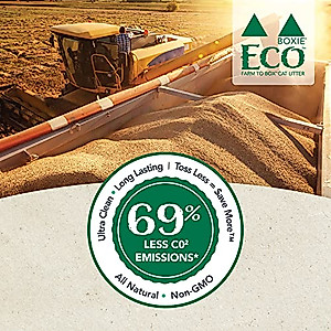 Boxiecat Eco Farm to Box Ultra Sustainable Cat Litter -Scent Free- 16.5 lb- Lightweight, Plant-based Premium Clumping Formula- All Natural Odor Control, Stays Ultra Clean