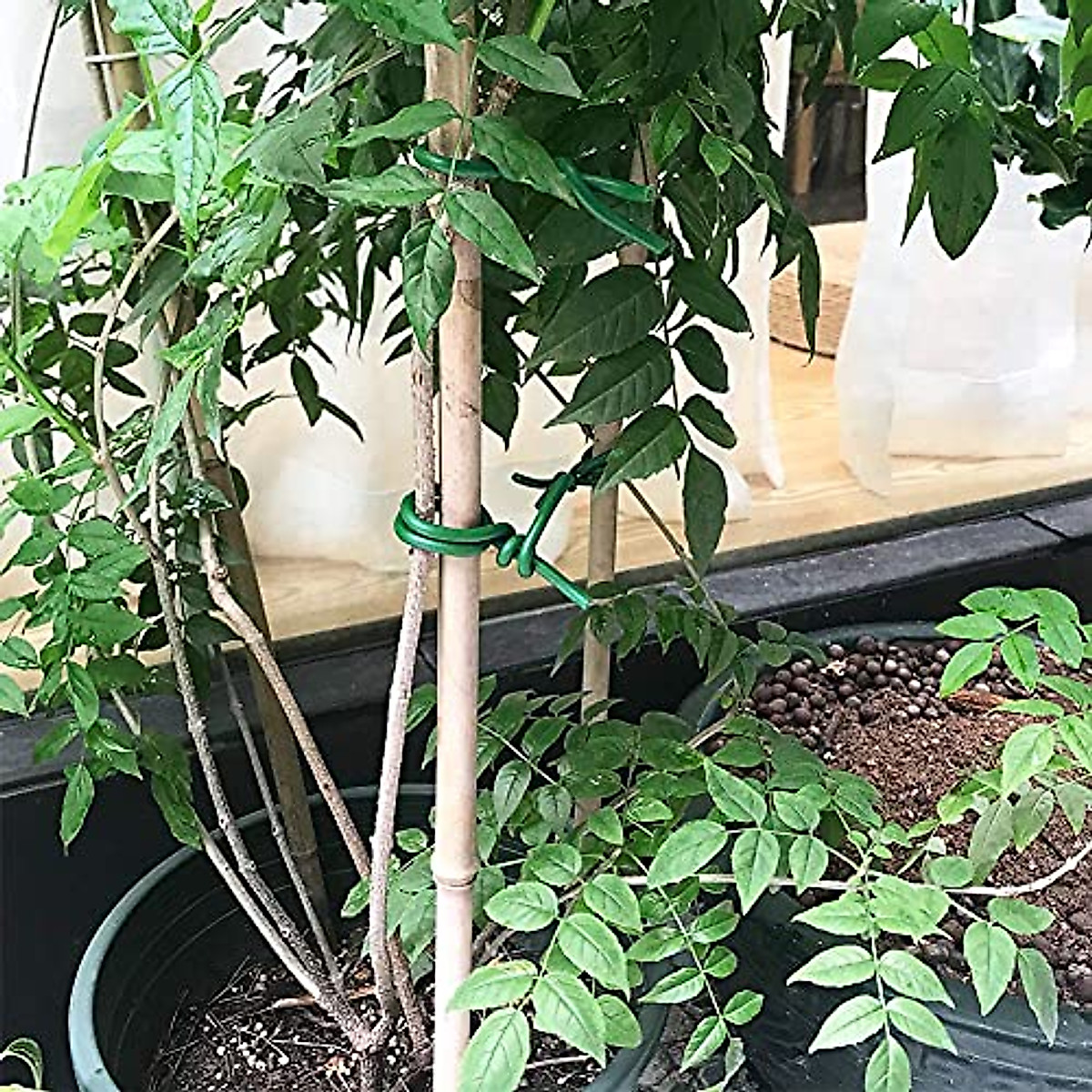 Reusable 3.5mm Garden Plant Twist Tie, Heavy Duty Soft Wire Tie for Gardening, Home, Office (Green, 65.6feet)