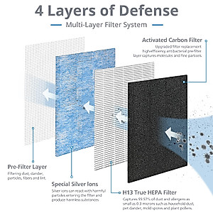 MK04 MG04JH Replacement Filters - Compatible with MK04 MG04JH Air Purifier MK-04 H13 True HEPA Filter, Part No. MK04LX, 2 Pack