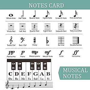 Piano Keyboard Removable Stickers for 88/76/61/54/49/37 Key for Beginners, Musical Note Stickers with Guide, Stick, Tweezers, Cleaning Cloth