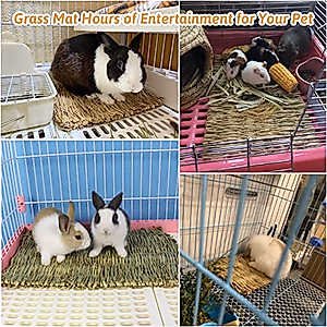 Grass Mat Woven Bed Mat for Small Animal 5 Grass Mats Bunny Bedding Nest Chew Toy Bed Play Toy for Guinea Pig Parrot Rabbit Bunny Hamster Rat