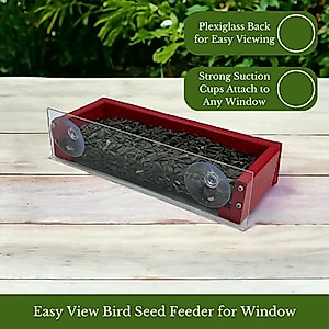 Backyard Essentials Standard Red Window Feeder with Strong Suction Cups, Platform Tray Bird Feeder