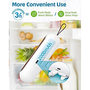 SEANCHEER Fridge Deodorizer, Mini USB-C Rechargeable Reusable Refrigerator Deodorizer, Refrigerator Odor Eliminator with Hook Lanyard for Fridge Wardrobe Shoes Cabinet