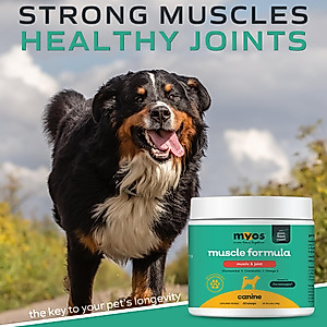 MYOS Muscle & Joint Powered by Fortetropin with Green Lipped Mussel 396g (198 gr)