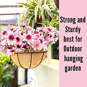 LaLaGreen Hanging Baskets for Plants (3 Pack, 10 Inch) Hanging Planter Outdoor with Coco Liner, Metal Wire Flower Basket Pots Holder Hanger Hook Deck Patio Porch Garden Balcony Outside Decoration
