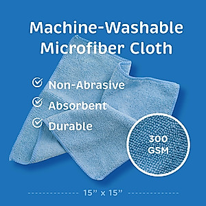 Black Swan Distributors - 2 FOLEX Instant Carpet Spot Removers (32 oz) & Reusable Microfiber Cleaning Cloths (15x15 in) - Household Stain Treater Kit