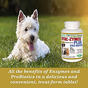 Total-Zymes PLUS Vegetarian Digestive Enzymes for Dogs & Cats, Supports a Healthy Digestive Tract & Immune System, Advanced Probiotics & Prebiotics- 100 Chewable Tablets by NWC Naturals