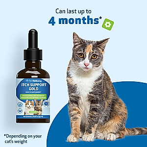 Pet Wellbeing Itch Support Gold for Cats - Occasional Itching, Scratching, and Hot Spots, Environmental and Seasonal Allergies, Dong Quai - Veterinarian-Formulated Herbal Supplement 2 oz (59 ml)
