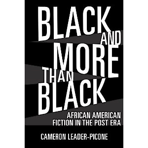 Black and More than Black: African American Fiction in the Post Era (Margaret Walker Alexander Series in African American Studies)
