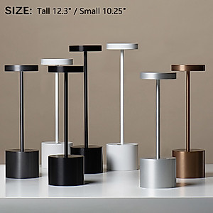 Barryca 12 Inch Cordless Table Lamp Rechargeable, Battery Operated Metal USB Desk Lamp, Portable Led Outdoor Light, Stepless Dimmable, for Outside/Indoor/Restaurant/Home/Dinner/Patio