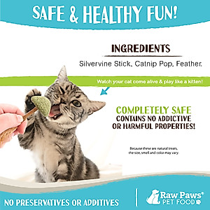Raw Paws Silvervine Lollipop Toys, 3 ct - Cat Feather Toys for Indoor Cats - Interactive Cat Toys with Feathers - Cat Kicker Toy - Catnip Toys for Cats