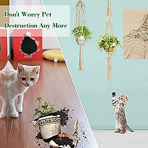 PIKAMAO Macrame Plant Hanger, 5pcs Jute Plant Hanger Indoor with 5pcs Hooks, Handmade Weave Hanging Plant Holder for Indoor Outdoor Boho Home Décor