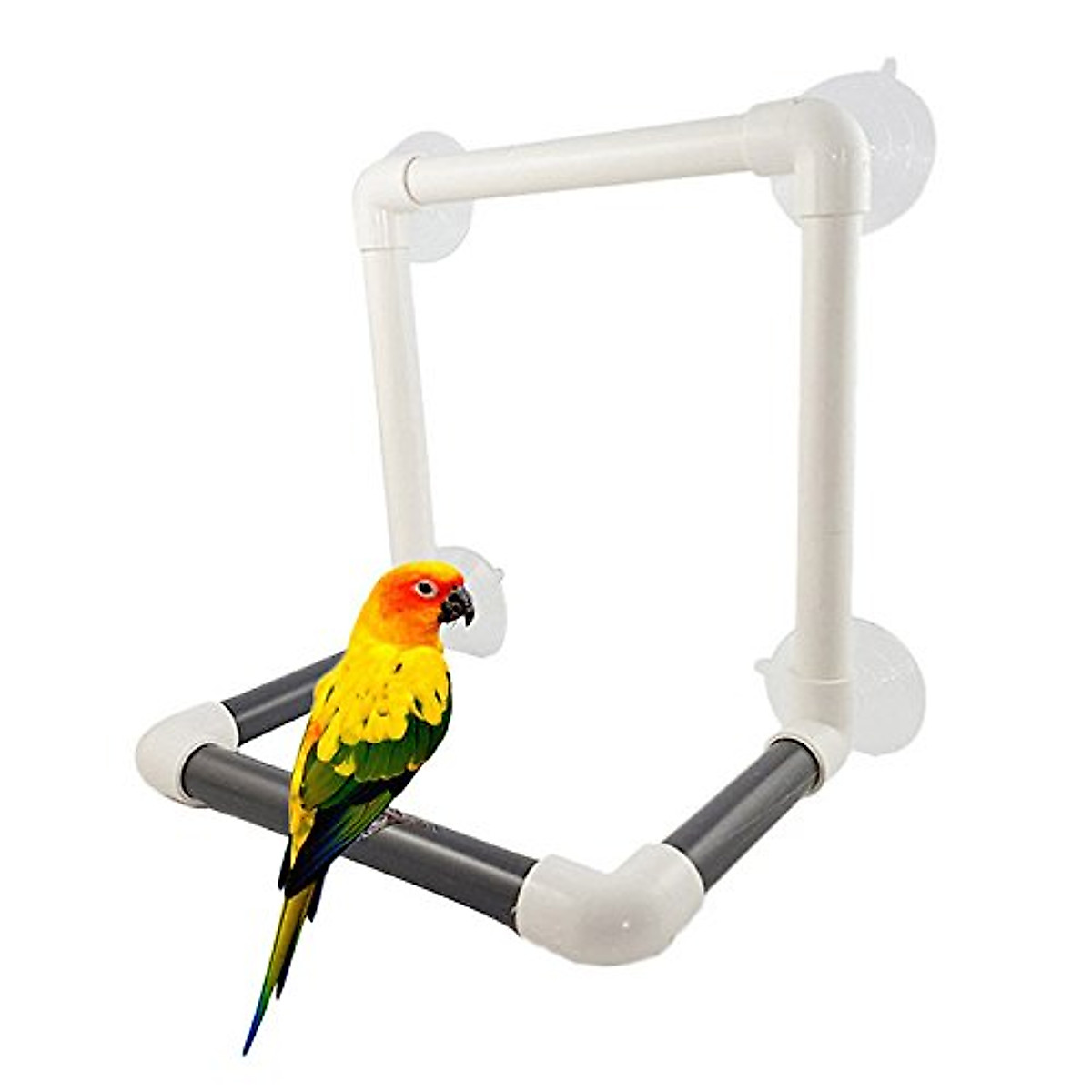 Hypeety Bird Portable Suction Cup Parrot Shower Perch Window Standing Platform Shower Bath Toy for Bird Parrot Macaw Cockatoo African Greys Budgies Parakeet Cockatiel