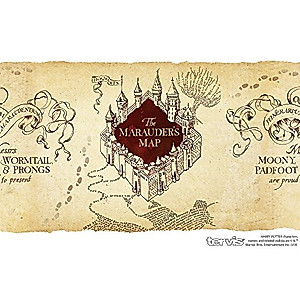 Tervis 1293210 Harry Potter-the Marauder'S Map Insulated Tumbler, 20 oz Stainless Steel, Silver