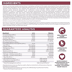 Salmon And Potato Dry Dog Food Size: 25-Lb Bag
