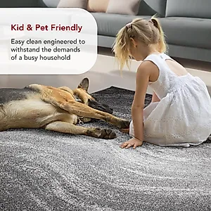 nuLOOM 2' x 3' Performance Indoor Area Rug, Non-Shed, Power Loomed High-Traffic Area Rug for Living Room, Bedroom, Home, Julene Charcoal