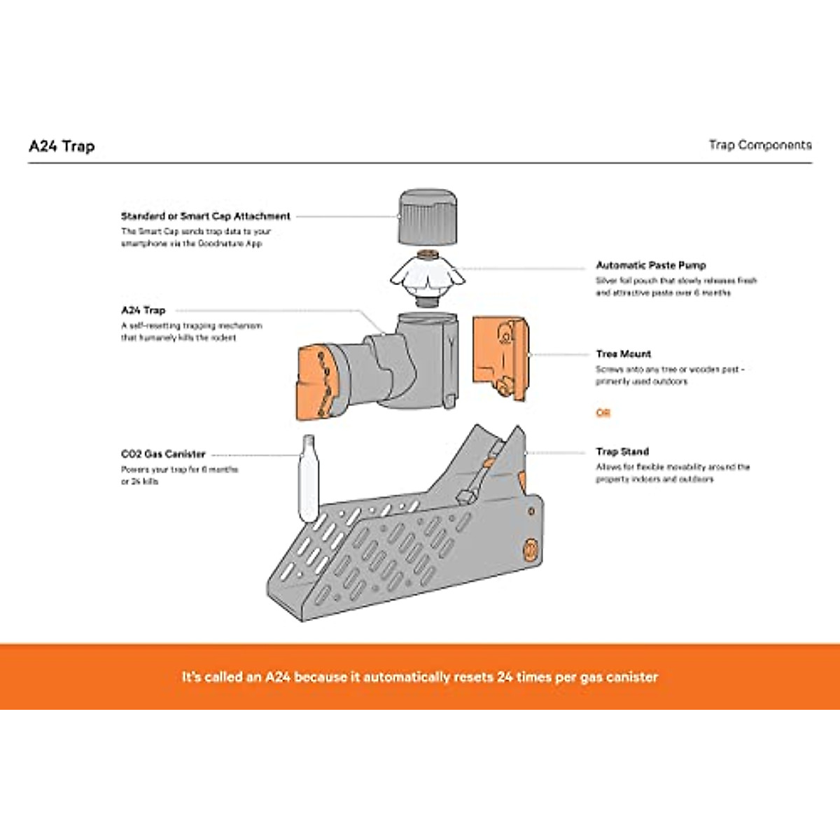 Goodnature Home Trapping Kit, A24 Humane Mouse Trap & Rat Trap with Portable Trap Stand, Automatic Paste Pump and CO2 Canister, Pet-Friendly Mouse & Rat Trap Without Digital Strike Counter