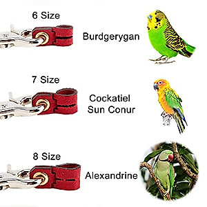 SUPERFINDINGS 12pcs 0.15-0.17x0.04Inch Mixed Color Faux Suede Leather Birds Foot Rings Parrot Leg Bands Opening Feet Ring for Pigeon Dove Chicks Bantam Quail Lovebirds Finch