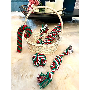 Monmoto Colorful Rope Toys for Dogs |Cotton Rope Toys |Rope Tug Toys |Dental Chew Rope | Interactive Toys |Candy Stick, Multi Knots, Multi Braided, Corn, Ball Toy |Small, Medium, Large Dogs| Set of 5