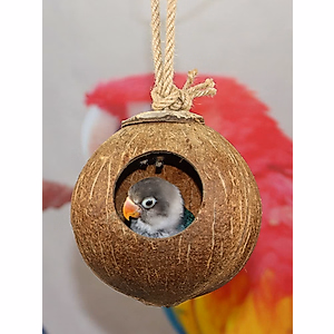 SLDHFE Coconut Bird Nest Hut,Natural Coconut Shell Bird Nest House,Coconut Bird Shell Breeding Nest for Hamster,Bird Cage Accessories,Pet Bird Supplies