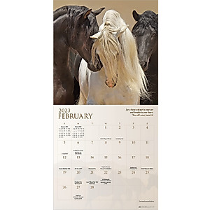 Spirit Horses 2023 Wall Calendar by Tony Stromberg | 12" x 24" Open | Amber Lotus Publishing